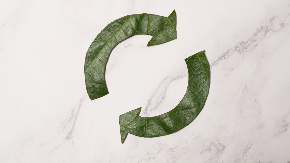 Circular Economy Guide 2024 | Waste Managed