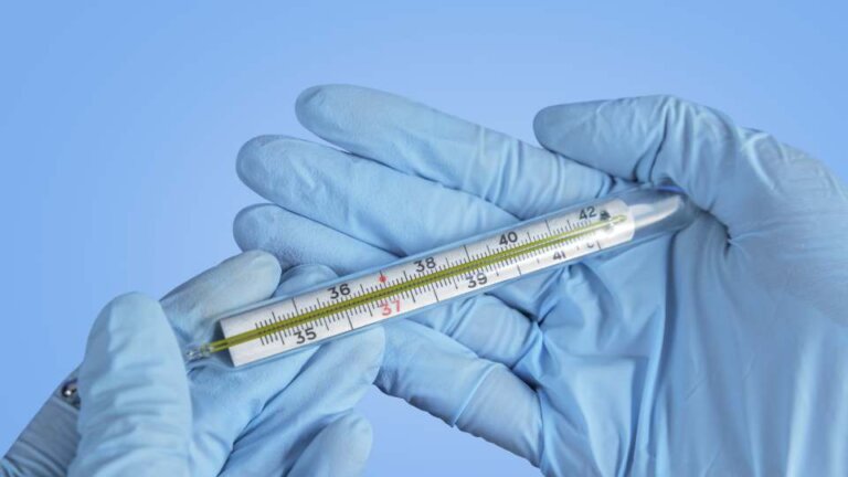 Veterinary Waste Guide 2025 | Waste Managed