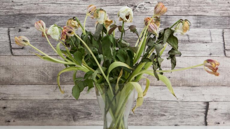 How to Recycle and Dispose of Flowers | Waste Managed