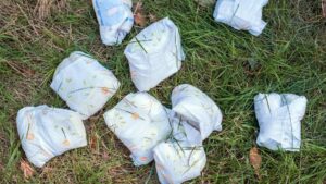 How to Dispose of Nappies | Waste Managed