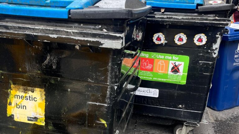 What Items are General Waste? | Waste Managed
