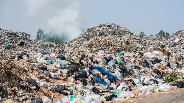 Landfill Facts and Statistics | Waste Managed