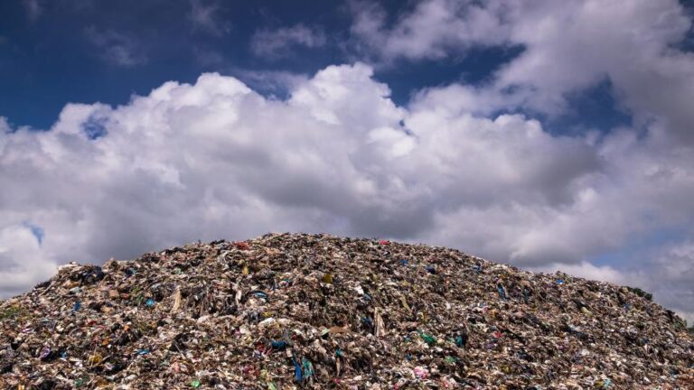 Landfill Facts and Statistics | Waste Managed