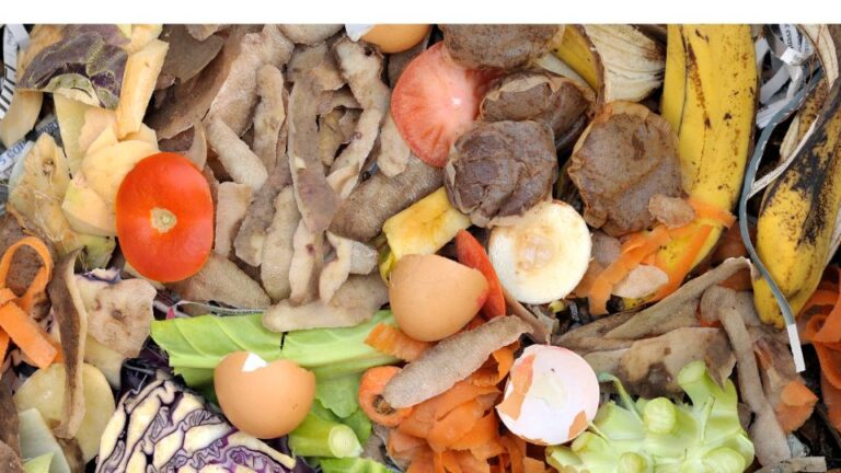 How Food Waste Contributes to Climate Change | Waste Managed