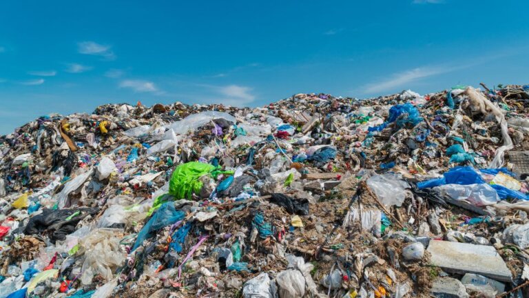 Can I Take Business Waste to the Tip? | Waste Managed