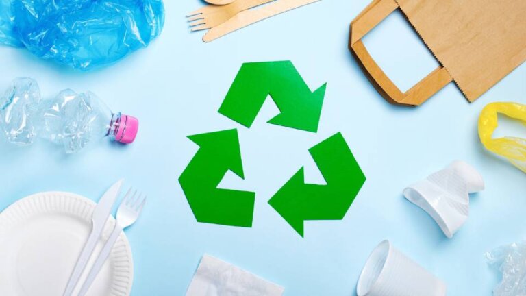 What Recycling Waste Goes Together? | Waste Managed