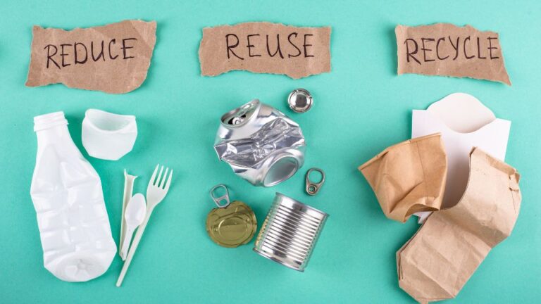A Vet’s Guide to Managing Medical Waste