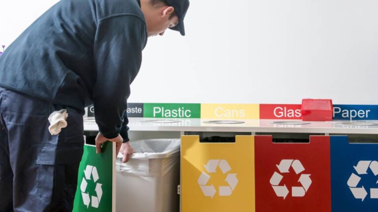 Why Recycling is Important in the Workplace | Waste Managed