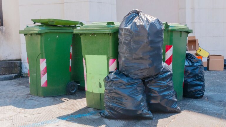 Excess Weight For Bin Collections Explained | Waste Managed