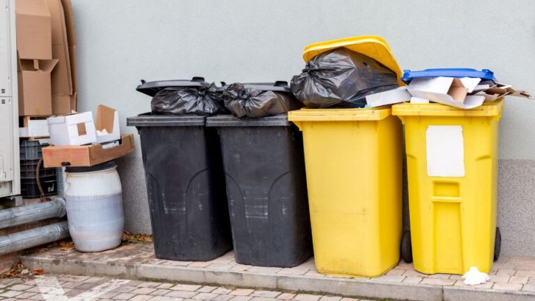 Excess Weight For Bin Collections Explained | Waste Managed