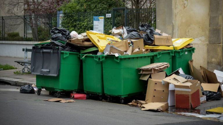 Excess Weight For Bin Collections Explained | Waste Managed