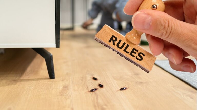 Pest Control Regulations for Businesses: What You Need to Know
