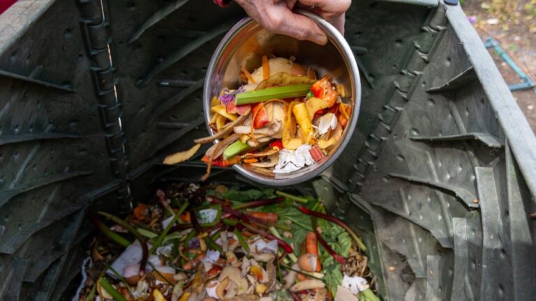 What Happens To Recycled Food Waste? | Waste Managed