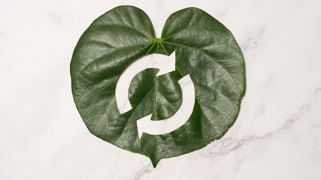 Sustainability for UK Businesses: A Step-By-Step Guide | Waste Managed