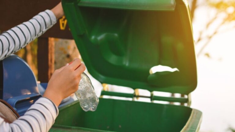 Simpler Recycling Legislation Explained | Waste Managed