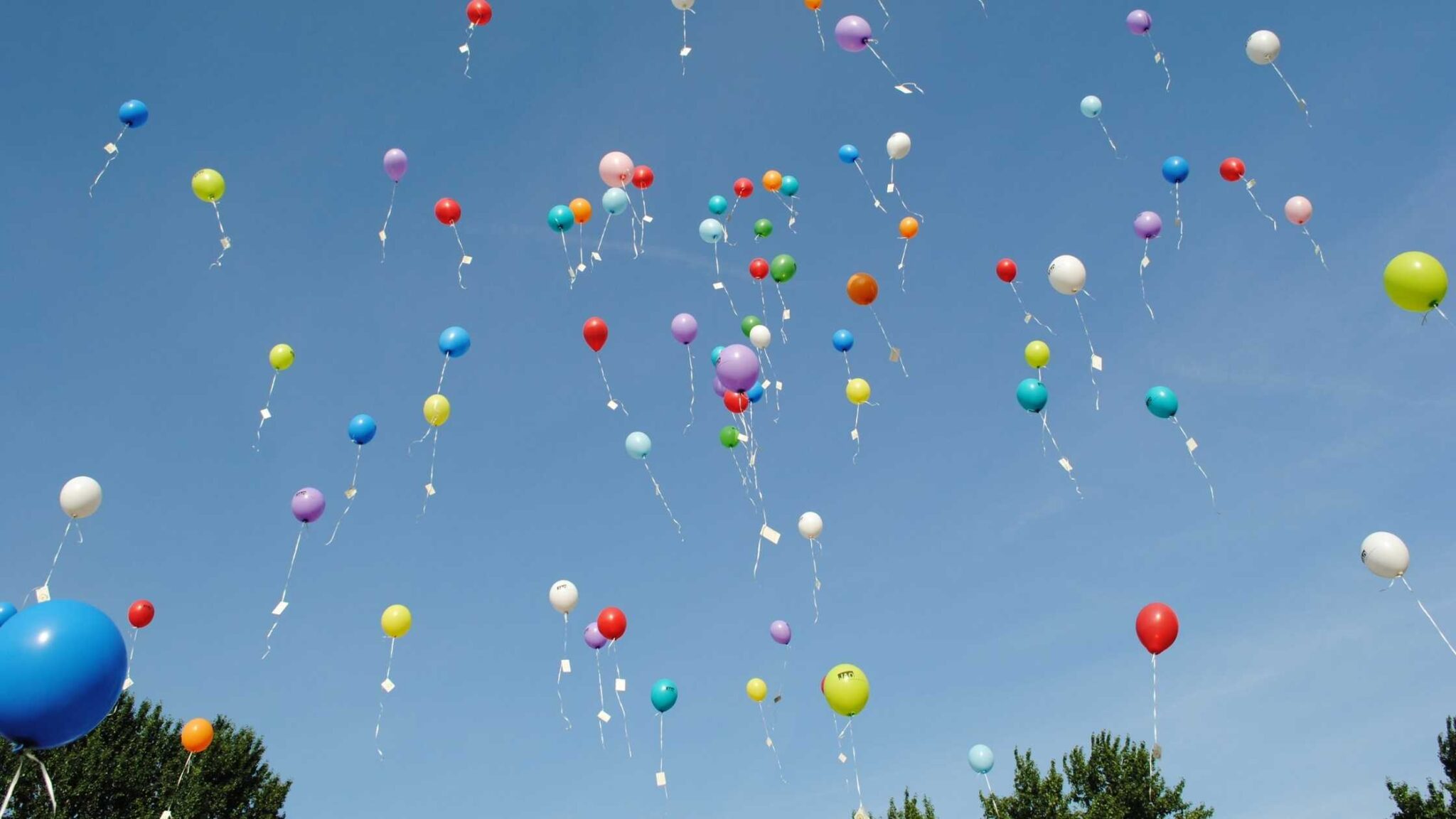 Are Balloons Bad for the Environment? The Deflating Truth | Waste Managed