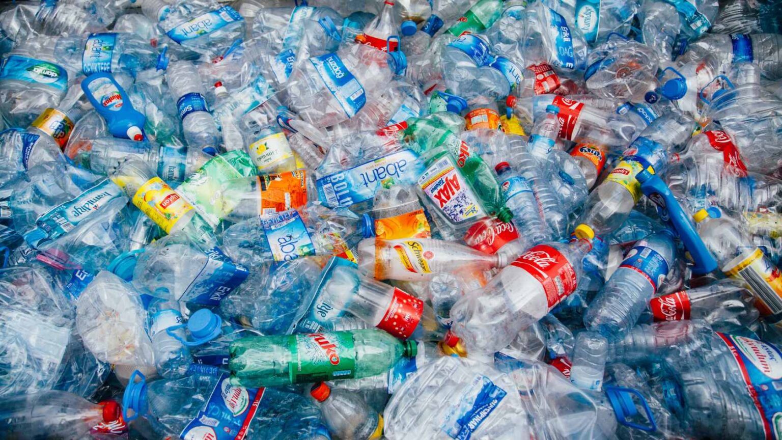 The UK Deposit Return Scheme Explained | Waste Managed