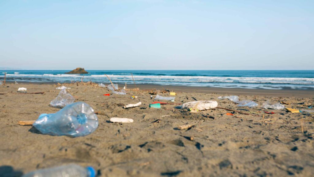How Summer Tourism Impacts Waste Services | Waste Managed