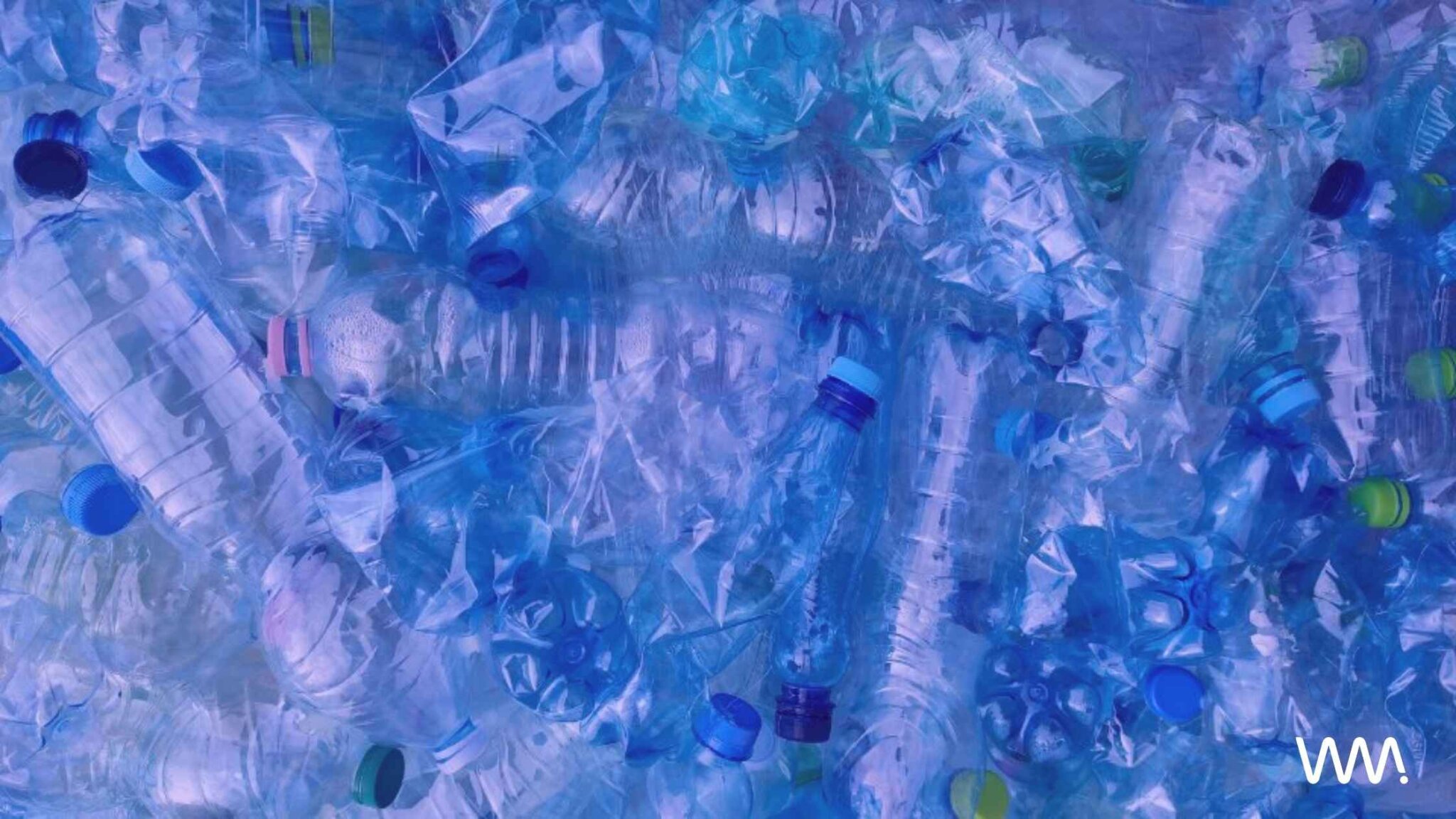 What Recycling Waste Goes Together? | Waste Managed